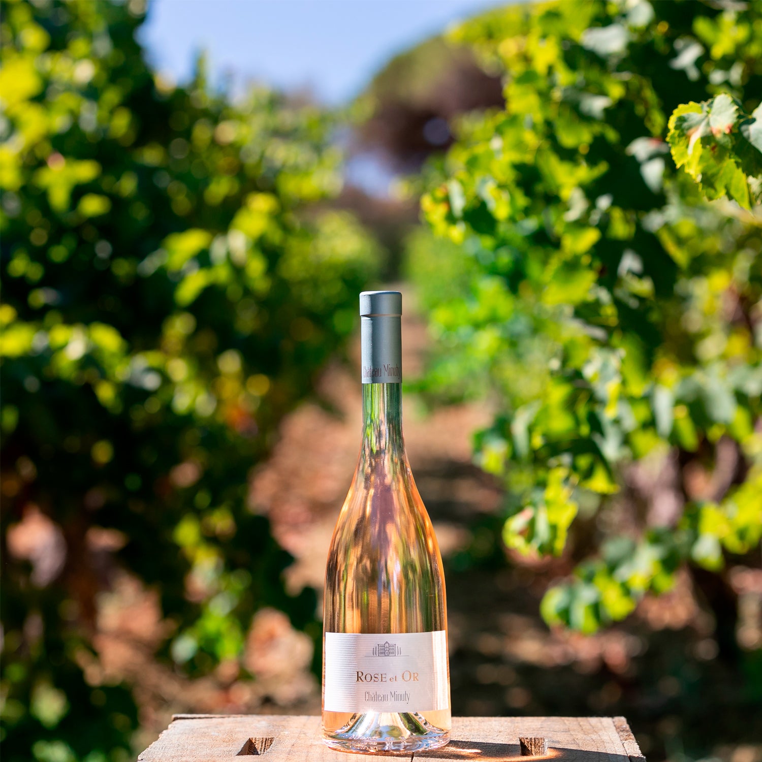 Château Minuty Rose et Or - Provence's emblematic wine