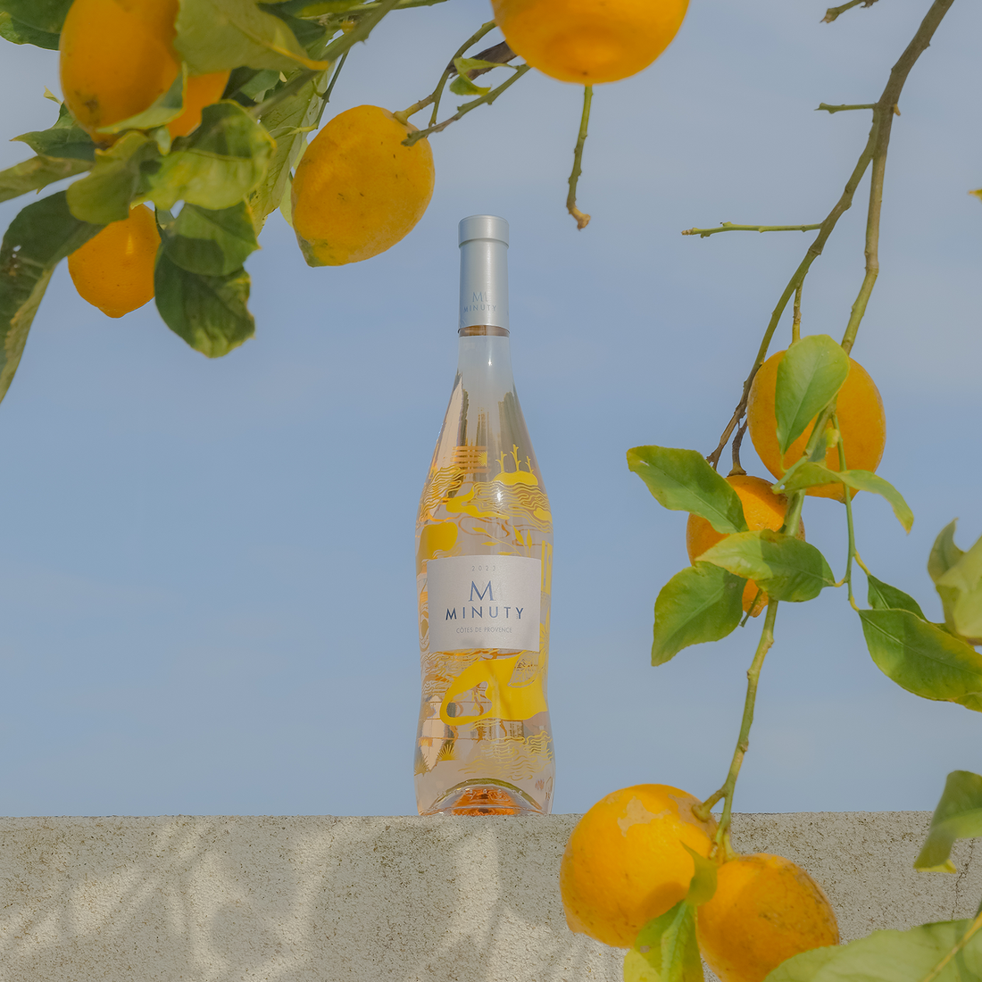 Minuty S.A.S. : Côtes de Provence on the Saint-Tropez peninsula