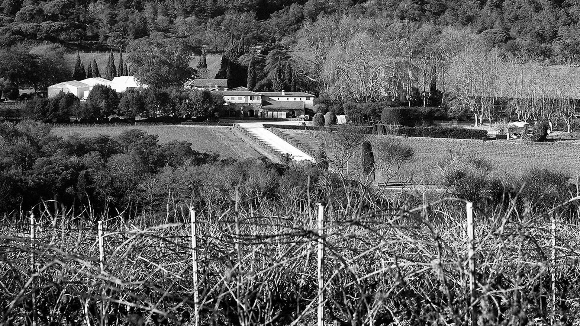 La saga familiale de Minuty depuis 1936 - Histoire et valeurs sur la ...