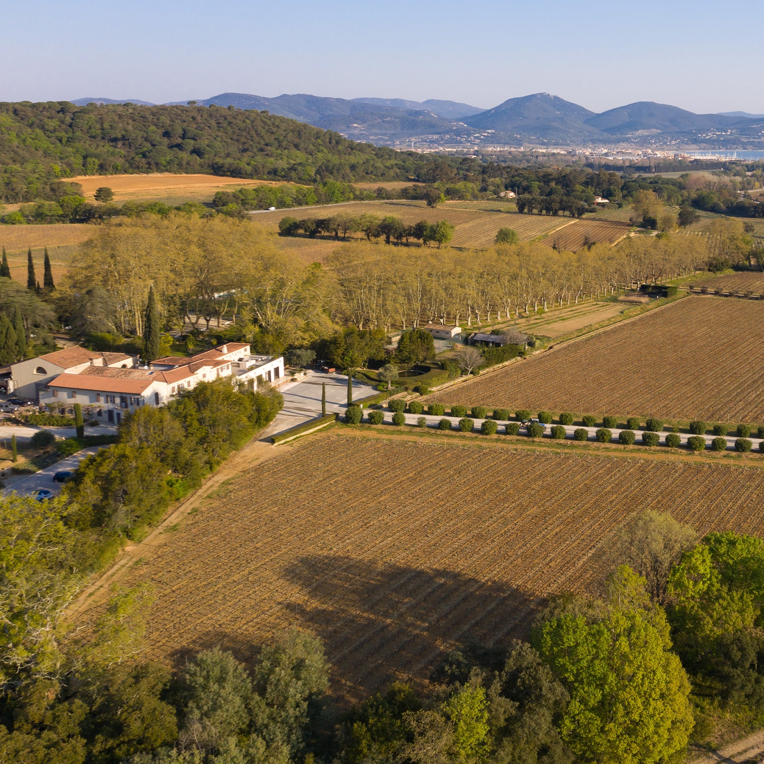 Discover the Presqu'île de Saint-Tropez vineyards | Château Minuty